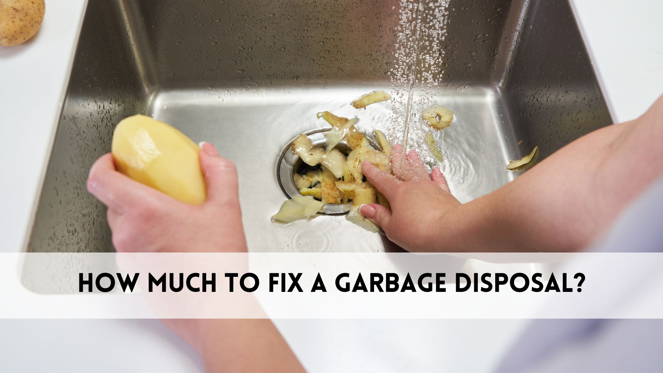 Garbage Disposal Repair: How Much Will It Cost?